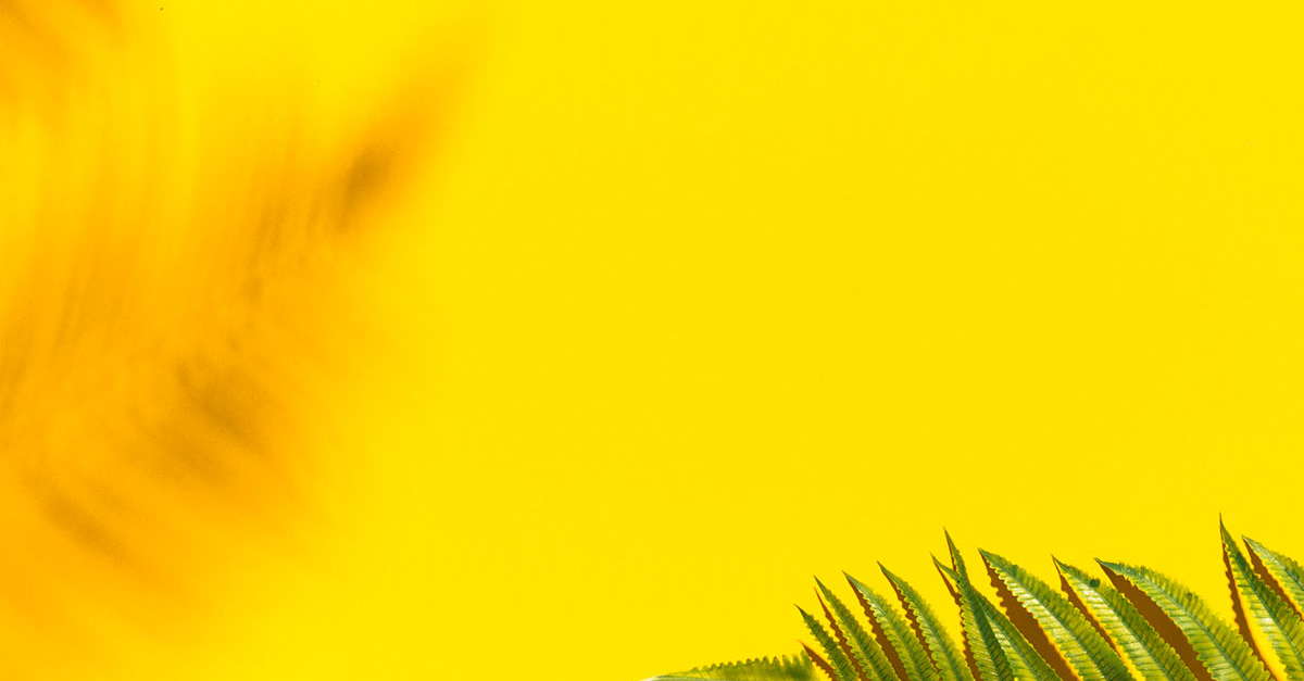 IMAGO - Images & Videos for Media, Sports & Brand.