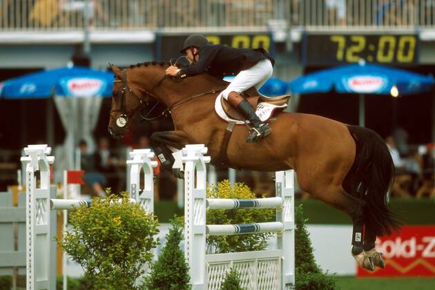 Thomas Velin (Dänemark) auf Equest Carnute beim Überqueren eines ...