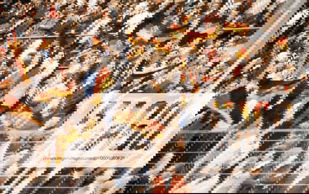 DDR-Fans Fußball WM Herren Weltmeisterschaft 1974, Länderspiel ...