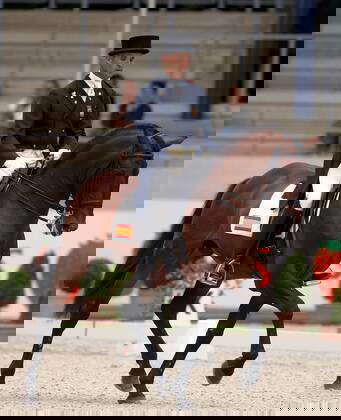 Juan Antonio Jimenez Cobo auf Guizo Pferdesport Grand Prix Herren CHIO ...