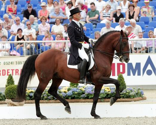 Juan Antonio Jimenez Cobo auf Guizo Pferdesport Grand Prix Herren CHIO ...
