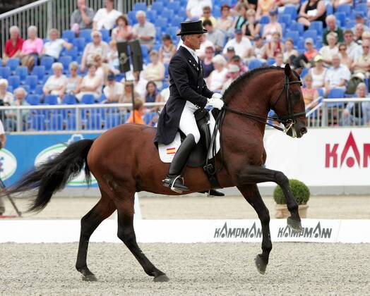 Juan Antonio Jimenez Cobo auf Guizo Pferdesport Grand Prix Herren CHIO ...