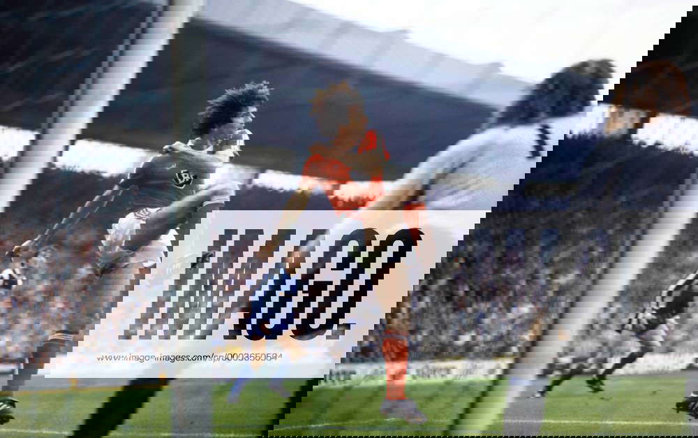 Ivan Buljan (HSV) Fußball 1. BL Herren DEUTSCHSPRACHIGE ...