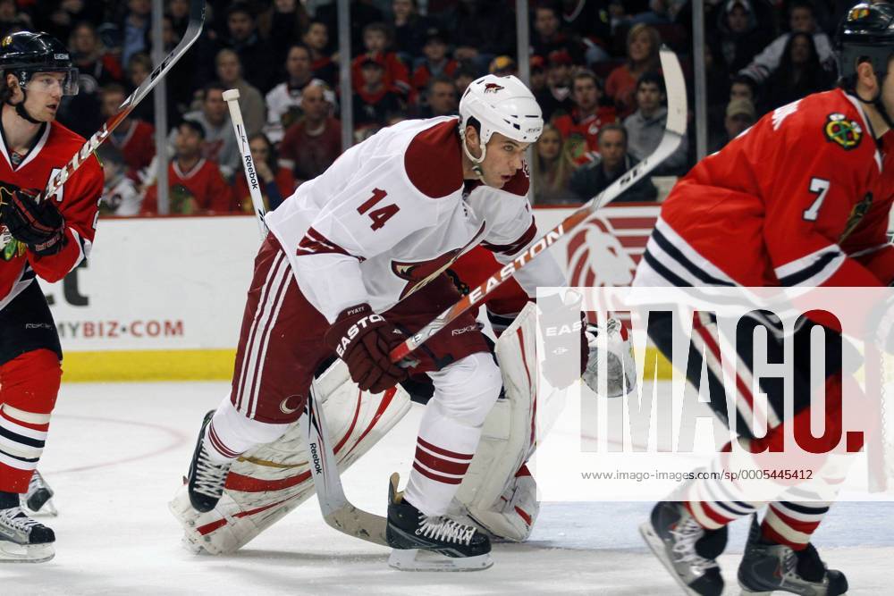 5 February 2010: Coyotes LW, Taylor Pyatt in action during their 2-1 ...