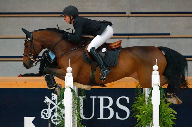 Reiten Grosser Elitepreis 2002 Affalterbach Springreiten Sven ...