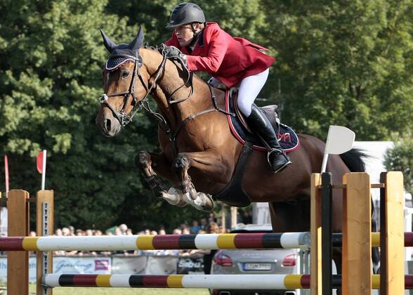 Reiten Springreiten Pferdemarkt 2010 Großer Preis der Stadt Bietigheim ...