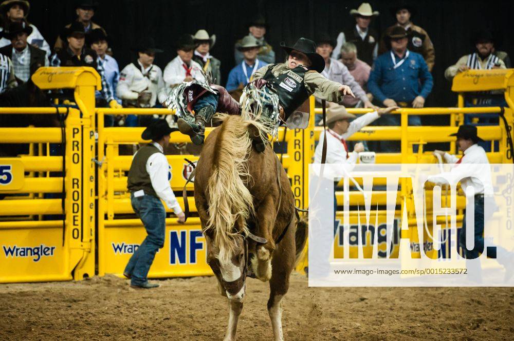 Dec. 8, 2013 - Las Vegas, Nevada, U.S - Bareback Rider - JESSY DAVIS ...
