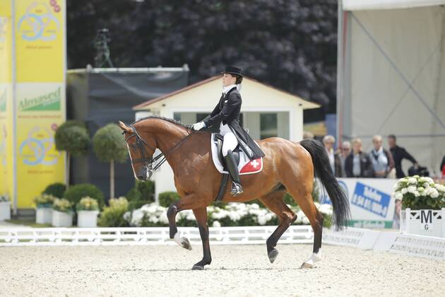 Hagen - CDIO Nationenpreis Dressur 2015, Rosen, Josephine (SUI) - Crescendo