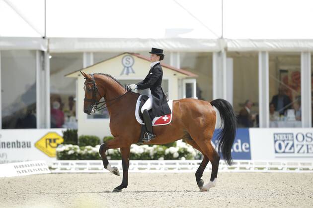 Hagen - CDIO Nationenpreis Dressur 2015, Rosen, Josephine (SUI) - Crescendo