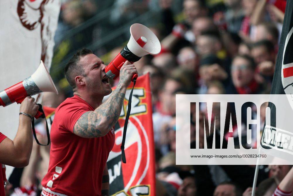 Ein Fan mit Megafon heizt die Fans vom1.FC Koeln an beim Spiel Borussia ...