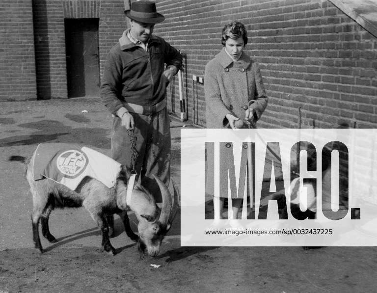 1. FC Köln Viktoria Köln on 28 03 1959 Cologne Billy goat of I Hennes ...