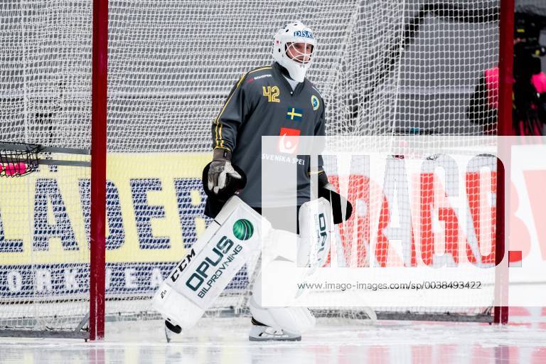 190126 Swedens goalie Anders Svensson during the bandy match in WC ...