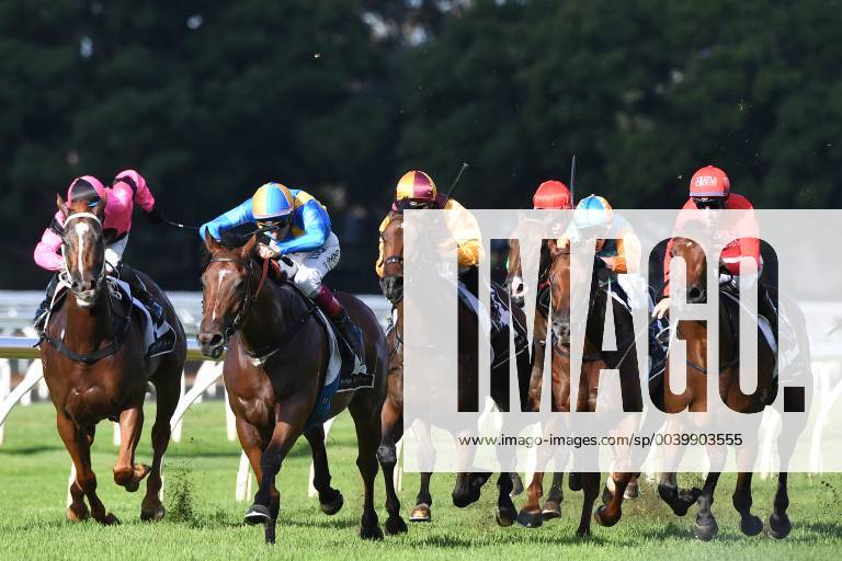 RACING SYDNEY MIDWEEK, Jockey Blake Shinn riding Echo Jet (second from ...