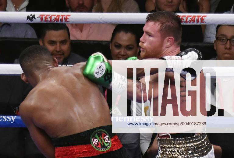 (In white trunks) Mexico s Canelo Alvarez goes 12 rounds with Daniel ...
