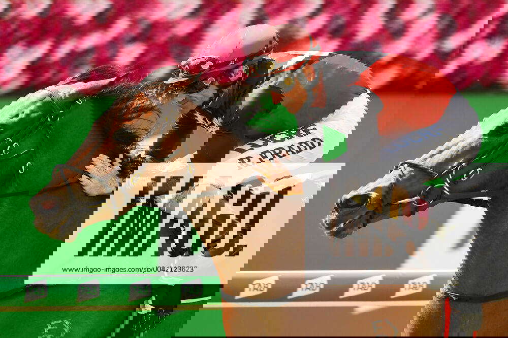 RACING ST MARGARETS RACE DAY, Jockey Robbie Fradd rides Smug ...