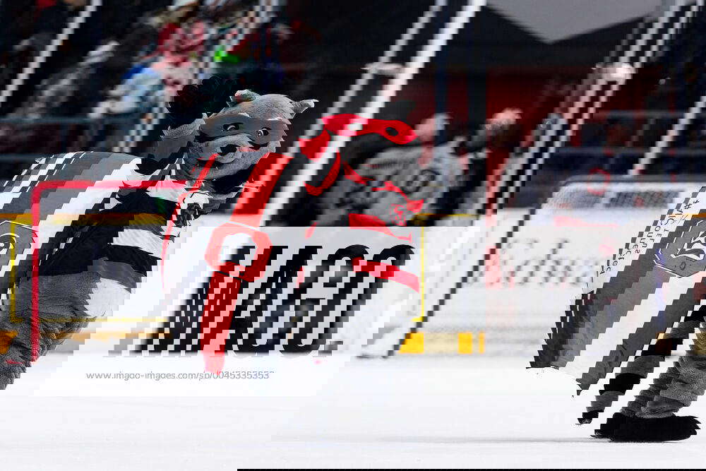 OTTAWA, ON - DECEMBER 01: Ottawa 67 s mascot Riley Raccoon waves to ...