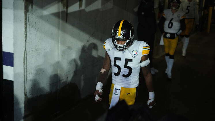 December 29th, 2019: Devin Bush 55 during the Pittsburgh Steelers vs ...