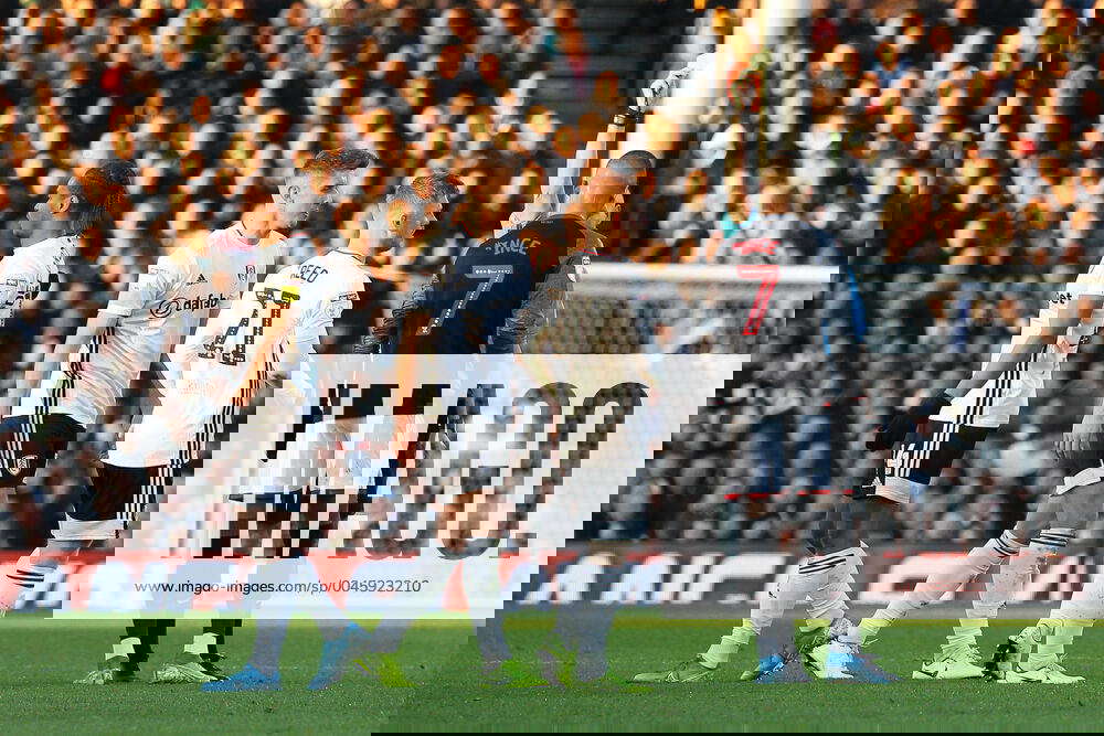 Anthony Knockaert of Fulham is fouled and a melee ensues in which ...