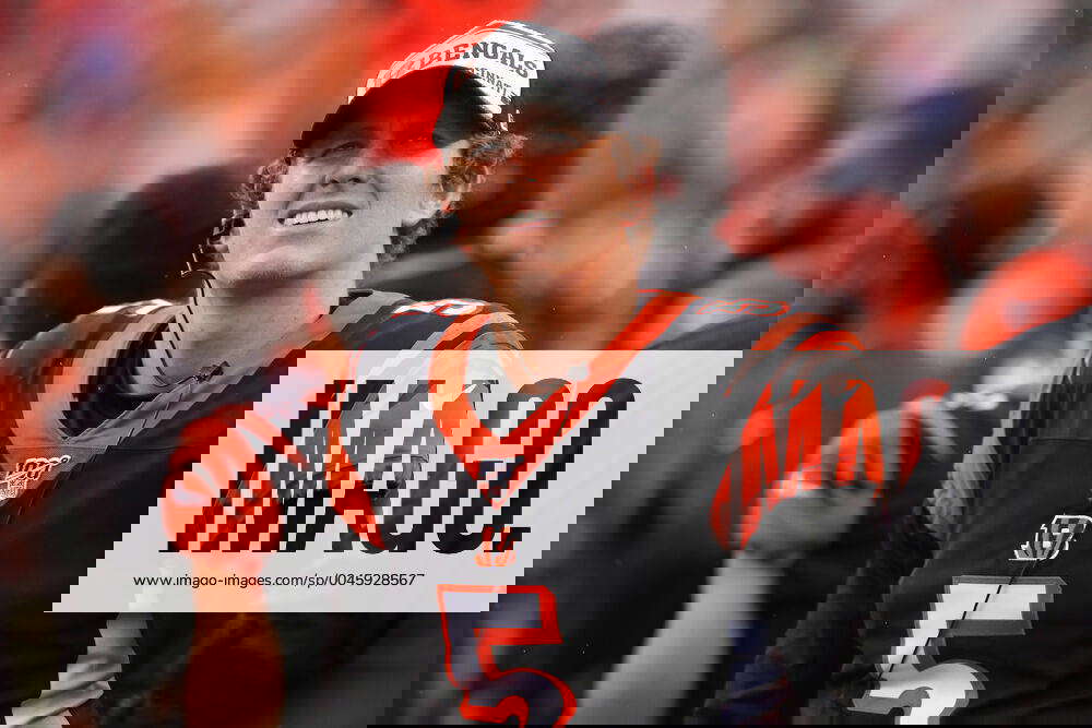 CINCINNATI, OH - DECEMBER 29: Cincinnati Bengals quarterback Ryan ...