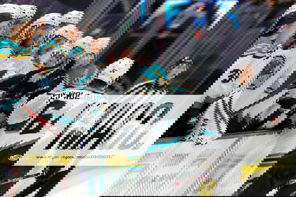 CLEVELAND, OH - JANUARY 04: Cleveland Monsters right wing Trey Fix ...