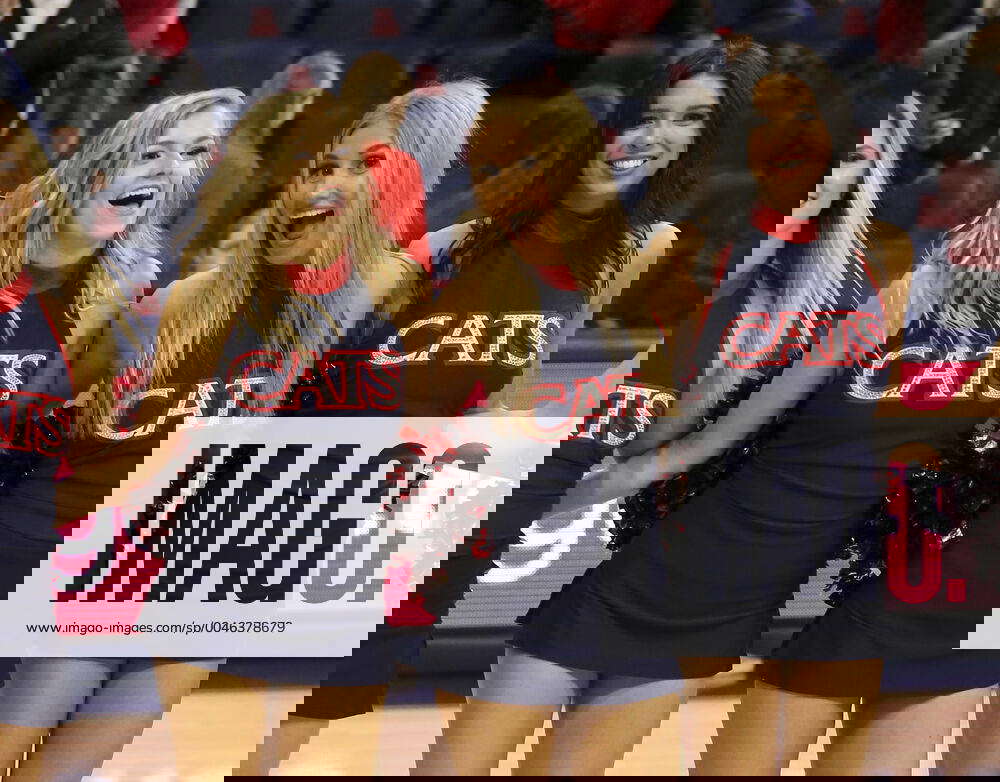 TUCSON, AZ - JANUARY 31: Arizona Wildcats pomline members pose during a ...