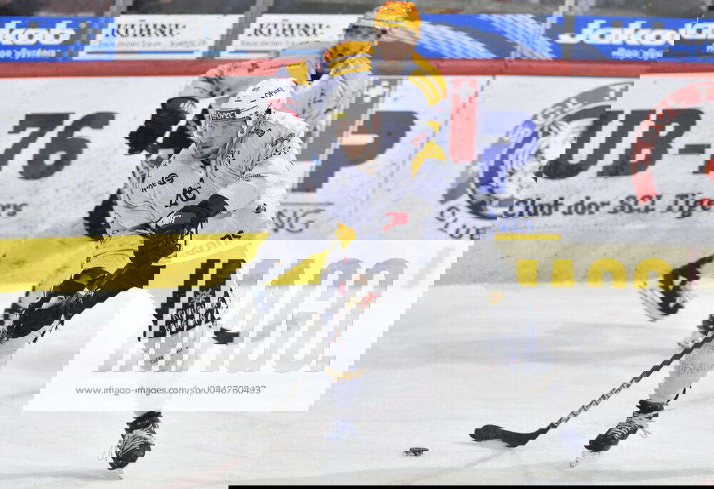 Matthias Rossi, HCFG, SCL Tigers HC Fribourg Gotteron, National League ...