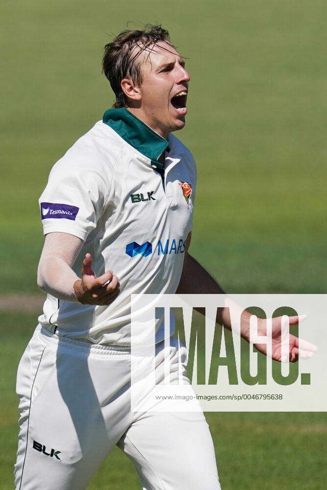 CRICKET SHIELD TAS WA, Sam Rainbird of Tasmania celebrates a wicket ...