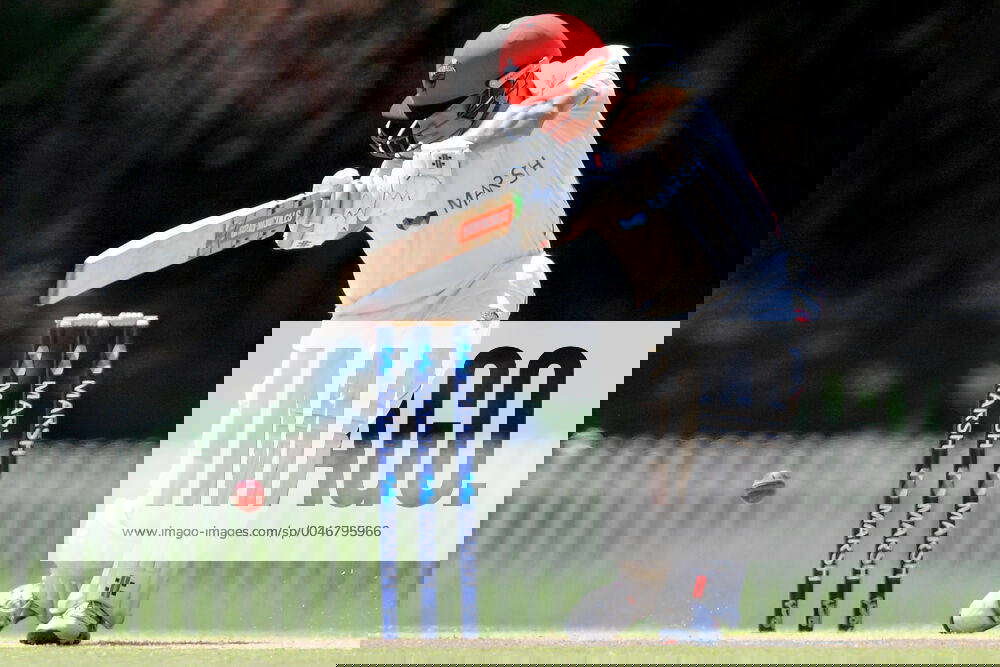 CRICKET SHIELD NSW SA, Henry Hunt of the Redbacks plays a shot on day 2 ...