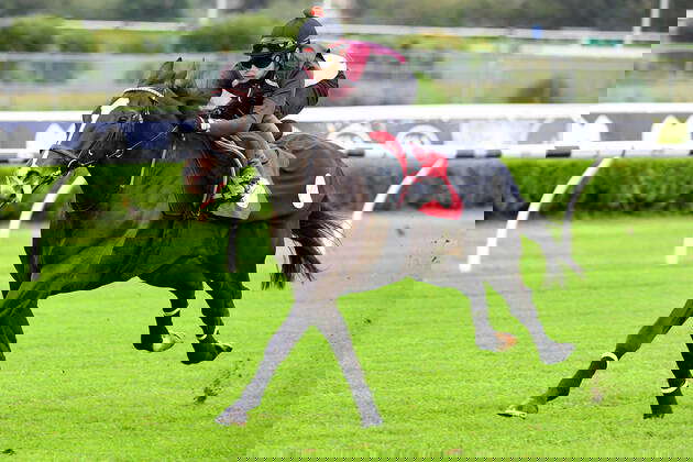 RACING CANTERBURY PARK FAST WORK, Japanese racehorse Danon Premium ...