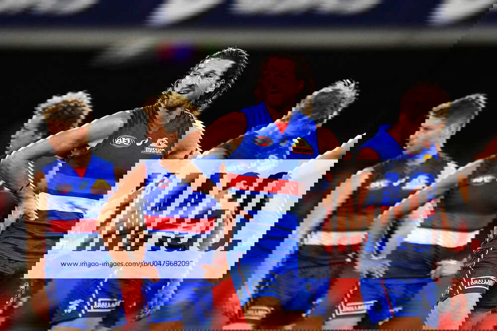 AFL BULLDOGS CATS, Western Bulldogs captain Marcus Bontempelli looks ...