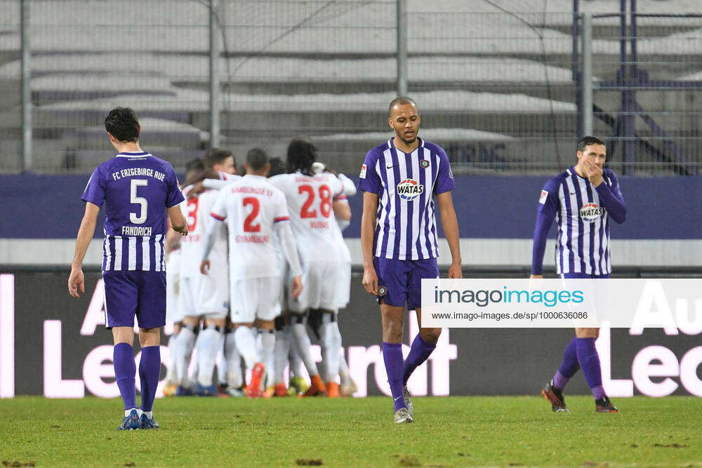 Hamburger SV team celebrates 2 0, Clemens Fandrich FC Erzgebirge Aue li ...