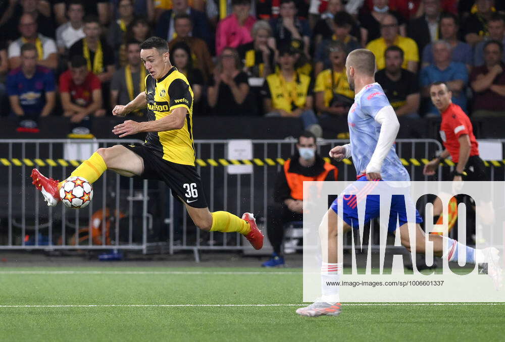 Silvan Hefti, YB, re Luke Shaw, ManU, BSC Young Boys Manchester United ...