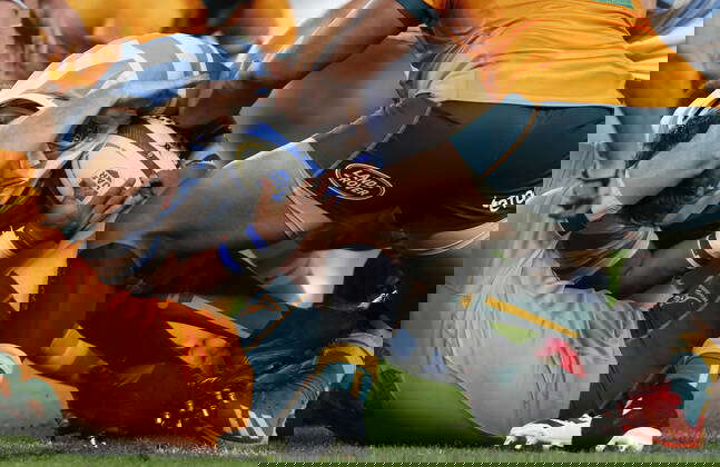 RUGBY ARGENTINA AUSTRALIA, Thomas Gallo of Argentina Pumas celebrates ...