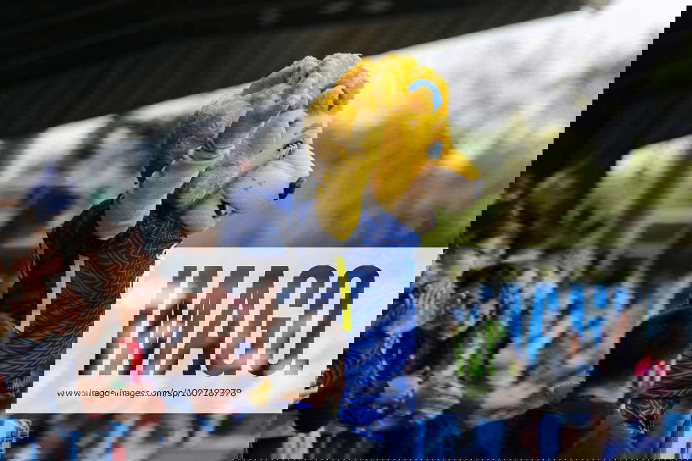 London, England, October 10th 20 Chelsea Mascot Bridget cheers the ...