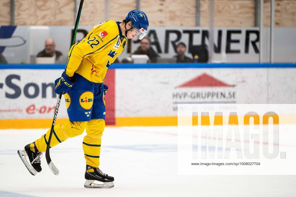 211114 William Wallinder of Sweden looks dejected during the junior ...