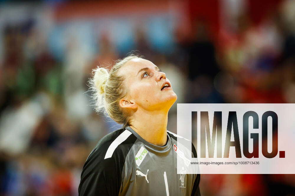 Sandra TOFT (1) during the handball semi match France vs Denmark, 25th ...