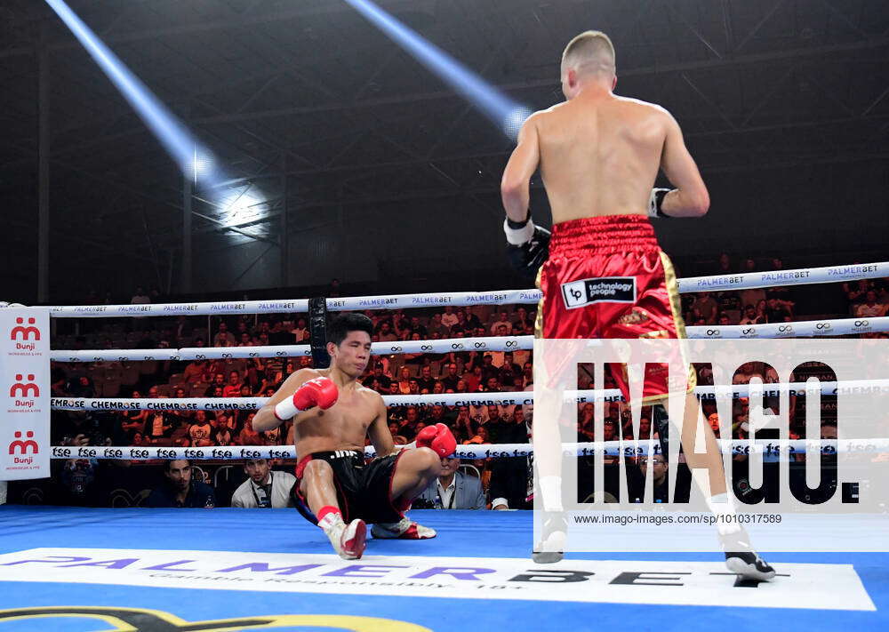 BOXING TSZYU STAHL, Liam Wilson (right) is seen knocking out Joe Noynay (left) of the Philippines