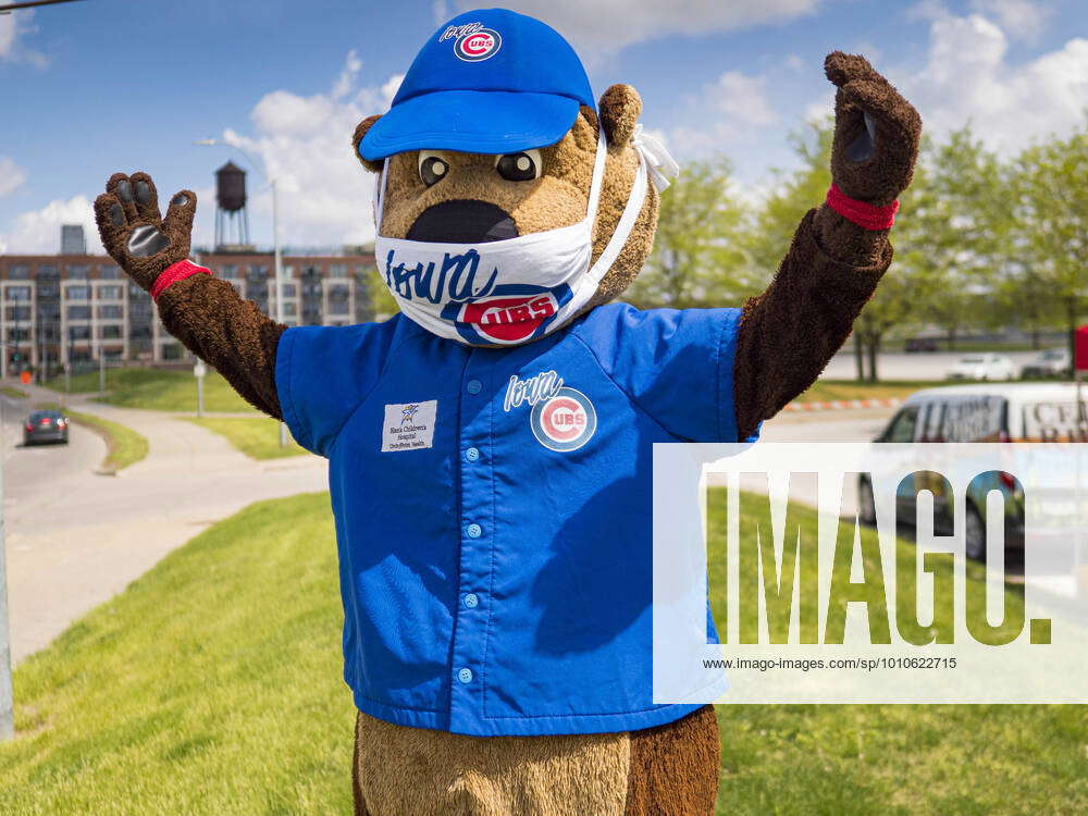Des Moines, Iowa, U.S: CUBBIE, the mascot for the Iowa Cubs, wears a ...
