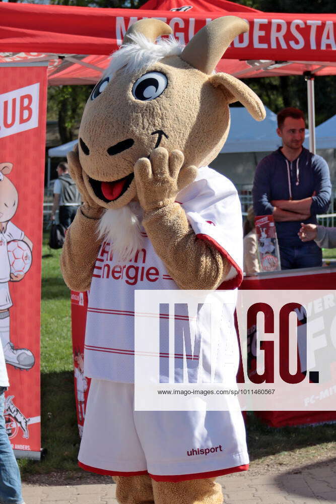 18 04 2022, Cologne, North Rhine Westphalia, GER Hennes, mascot of the ...