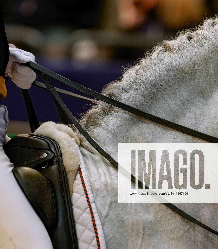 IMAGO - Images & Videos for Media, Sports & Brand.