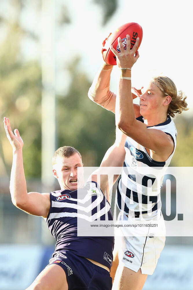 AFL CATS DOCKERS, David Mundy of the Dockers takes a mark during the ...