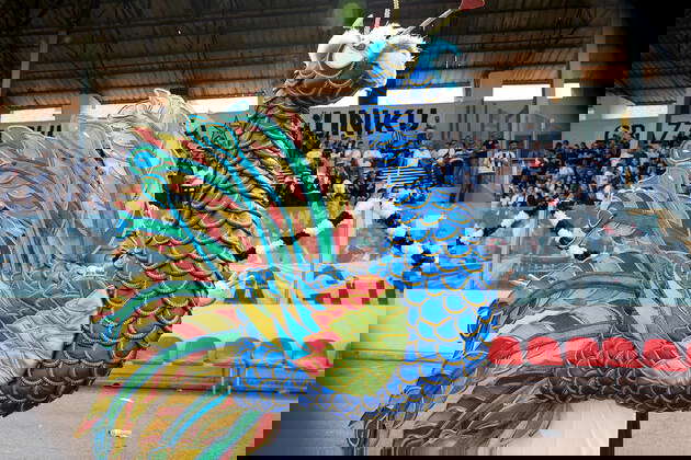 The Hibernians FC official mascot dressed as a peacock ahead of the ...