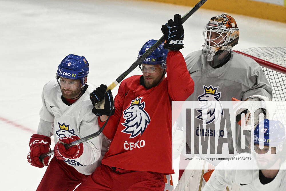 L-R Czech Ice hockey, Eishockey players David Musil, Jiri Smejkal ...