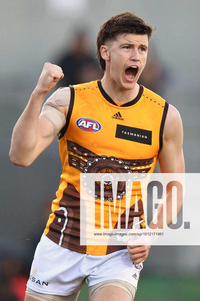 AFL HAWKS LIONS, Mitchell Lewis of Hawthorn celebrates kicking a goal ...