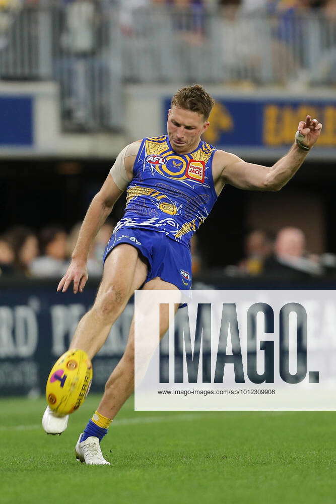 AFL EAGLES BULLDOGS, Alex Witherden of the West Coast Eagles kicks the ...