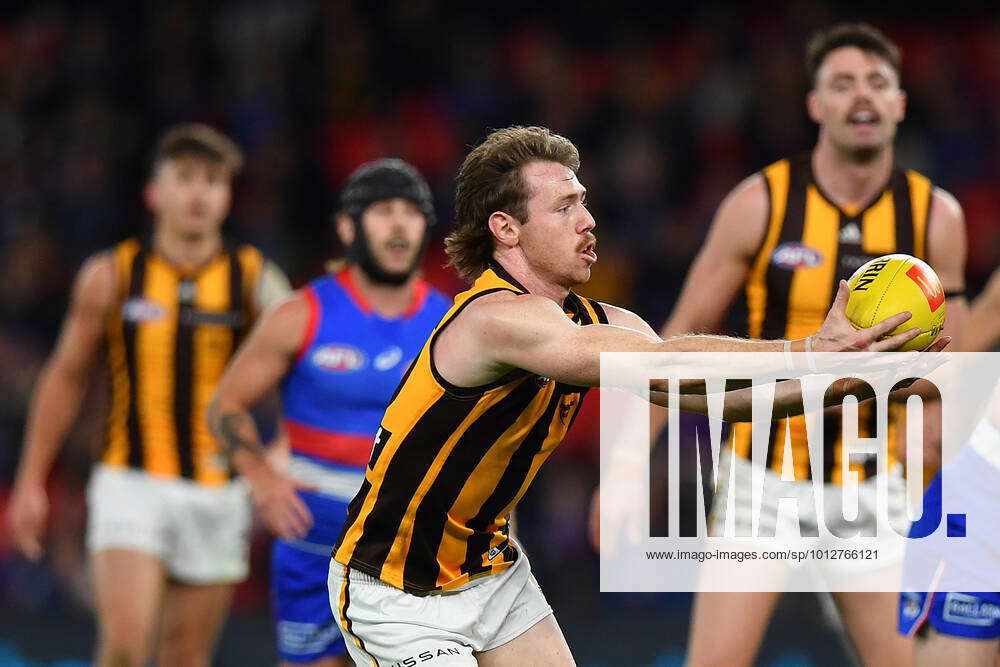 AFL BULLDOGS HAWKS, Lachlan Bramble of Hawthorn during the AFL Round 15 ...