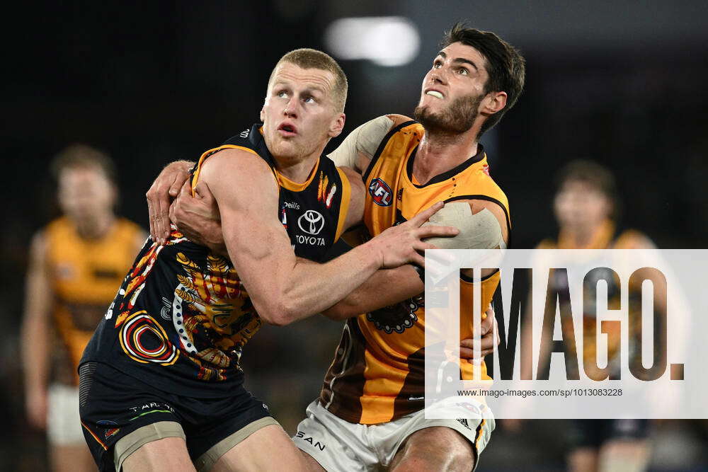 AFL HAWKS CROWS, Reilly O Brien of the Crows (left) and Ned Reeves of ...
