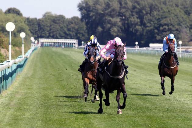 IMAGO - Images & Videos for Media, Sports & Brand.