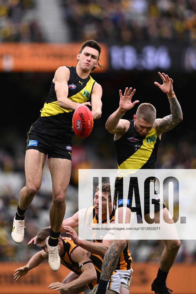 AFL TIGERS HAWKS, Josh Gibcus of Richmond compete for the ball during ...