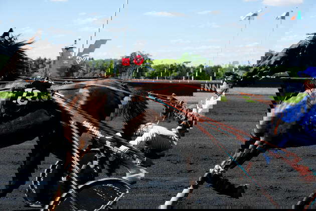 Harnessed Trotting Races At The Paris Vincennes Racecourse Spectators ...